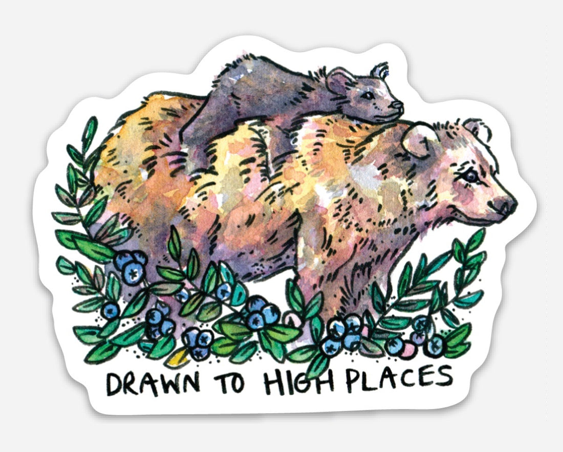 Bear Pair – Drawn to High Places
