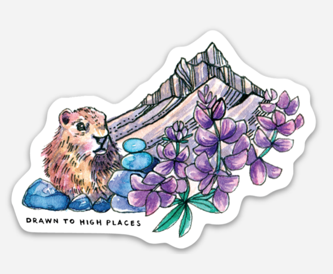 Marmot Sticker – Drawn to High Places